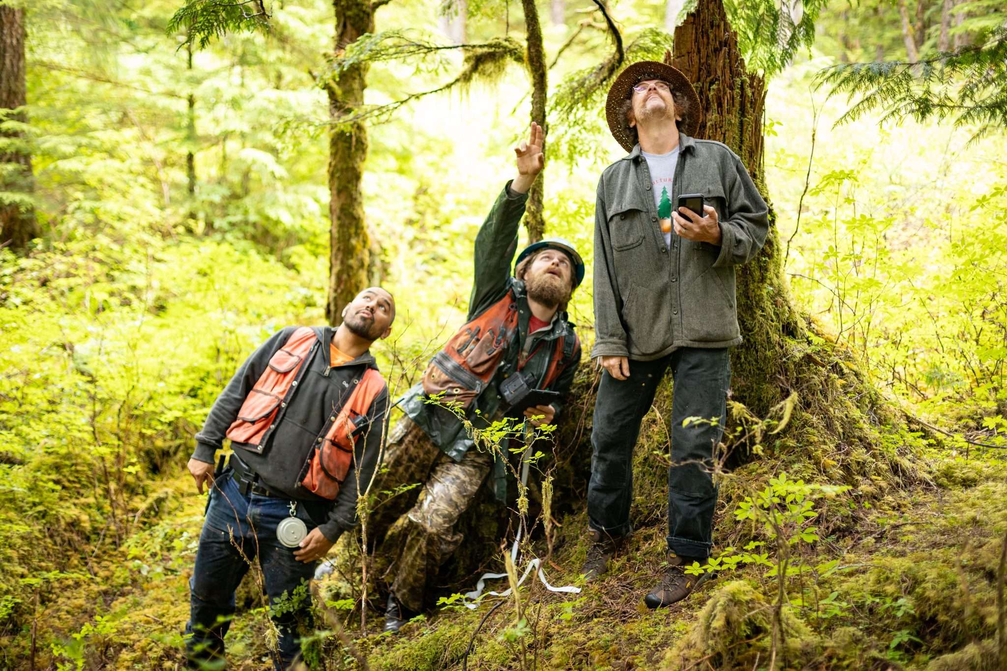 MySealaska - News - Sealaska and US Forest Service Collaborate on ...